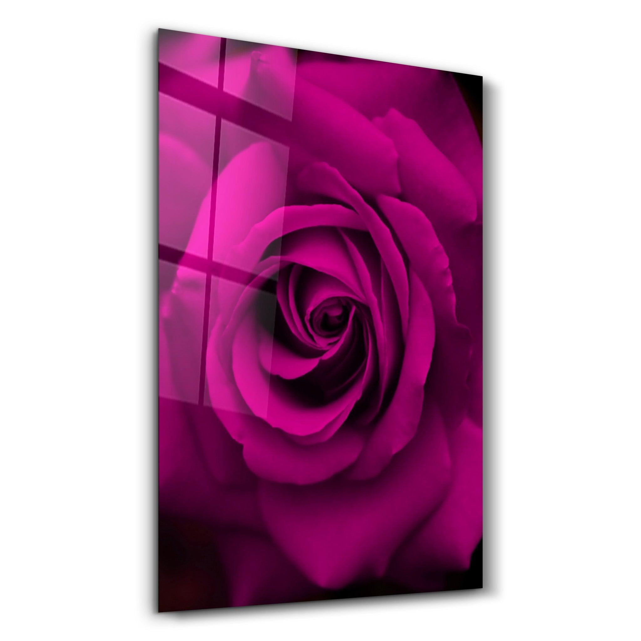 Rose | Glass Wall Art | Artdesigna