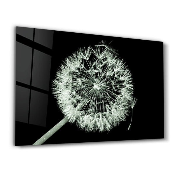 Falling Apart | Glass Wall Art – Artdesigna