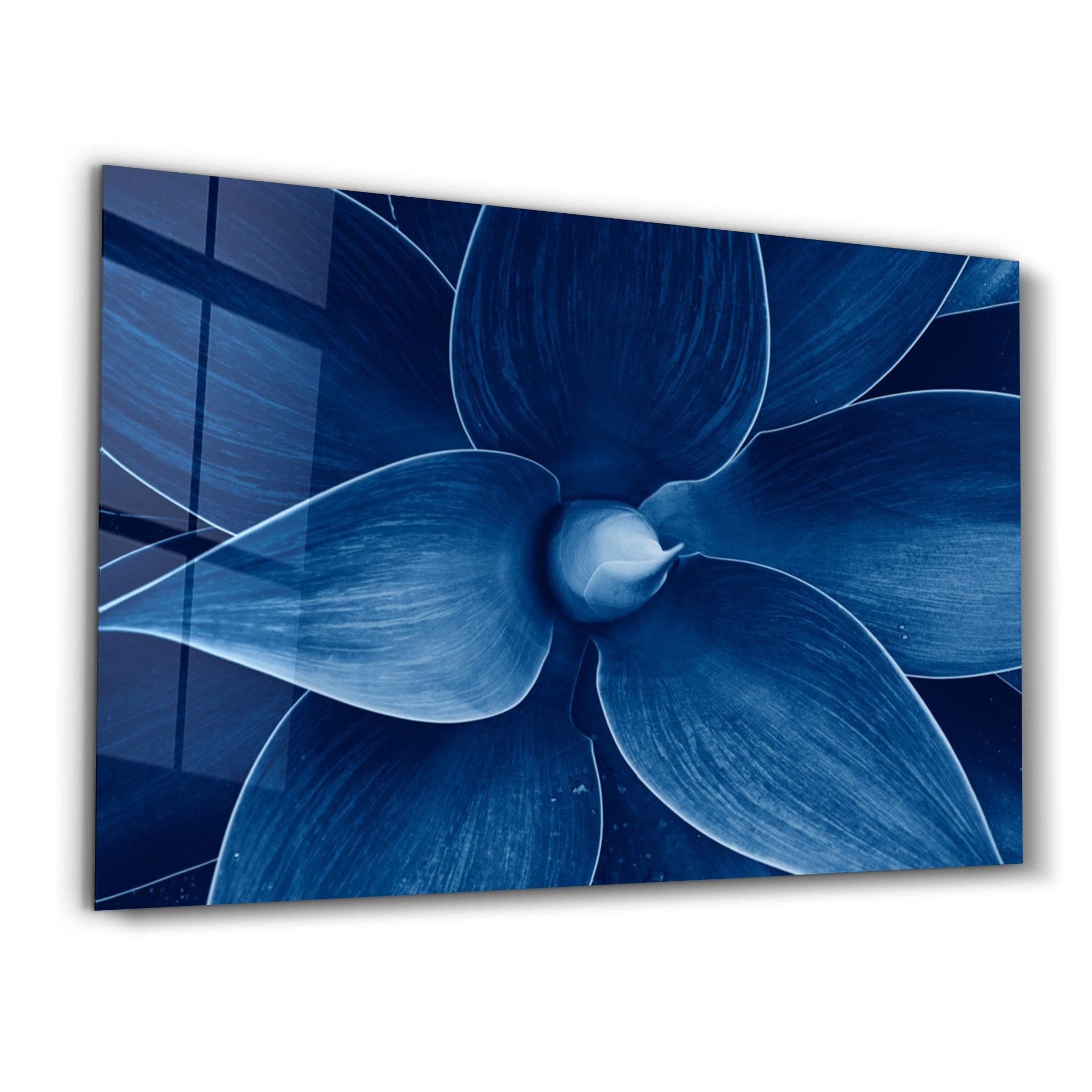 Natura Blue | Glass Wall Art – Artdesigna