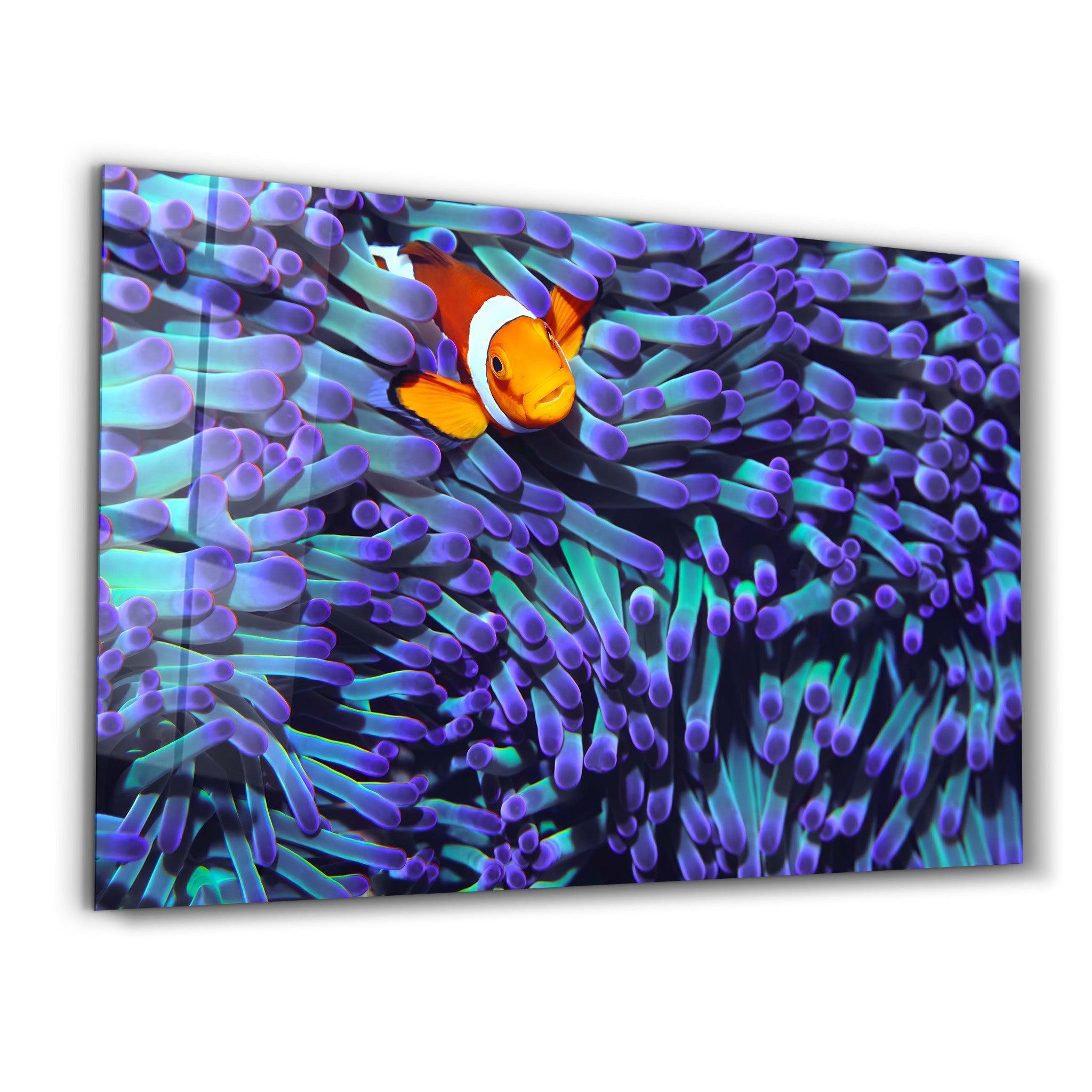 Clownfish | Glass Wall Art – Artdesigna