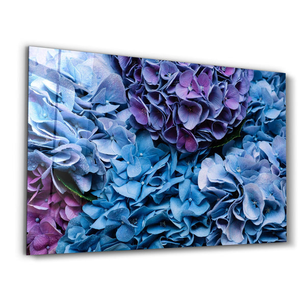 hydrangea | Glass Wall Art – Artdesigna